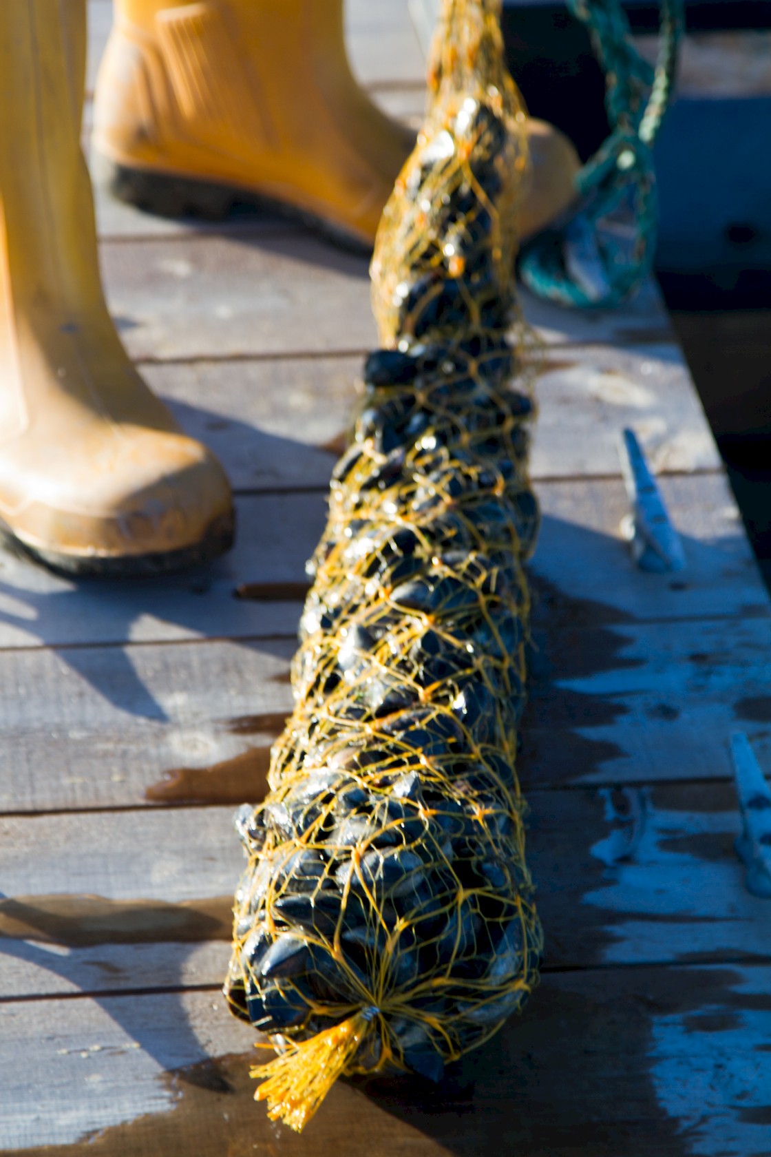 Fisheries and Mariculture | OSPAR Commission