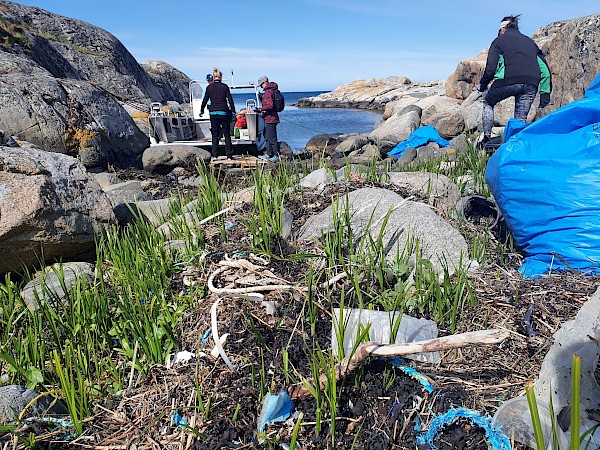 OSPAR Commission | Protecting and conserving the North-East Atlantic ...