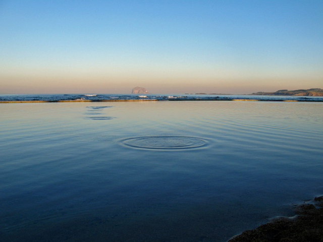 In Memoriam Paula Creedon | OSPAR Commission