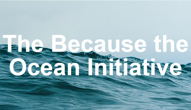 Because the Ocean Initiative | OSPAR Commission