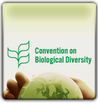 CBD Stakeholder Open Webinars on the Post-2020 Global Biodiversity ...