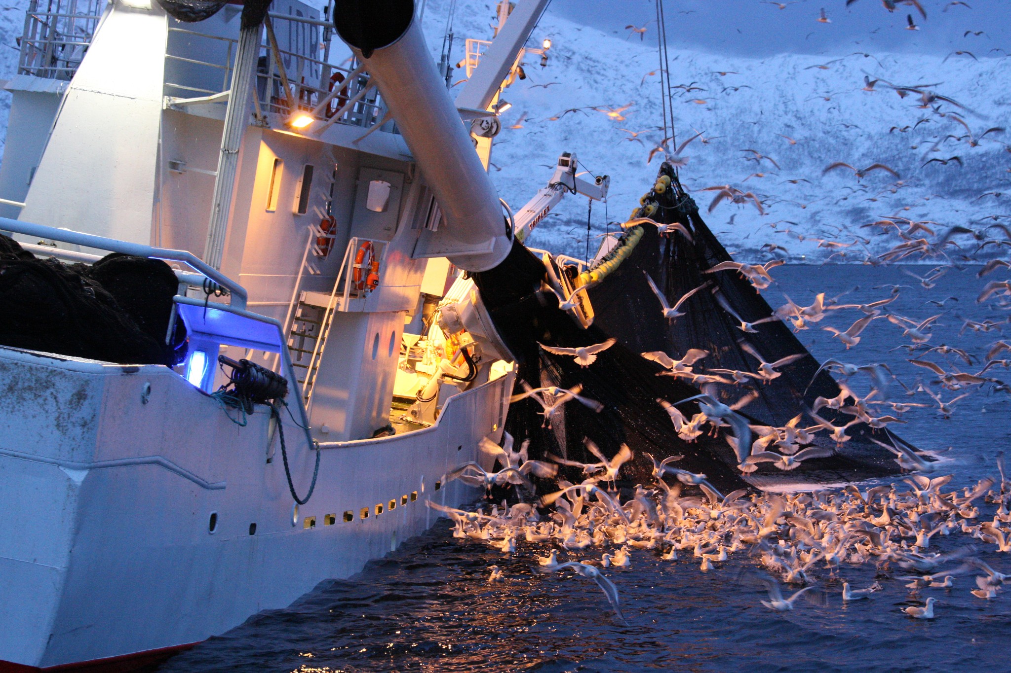 Reduction of bycatch | OSPAR Commission