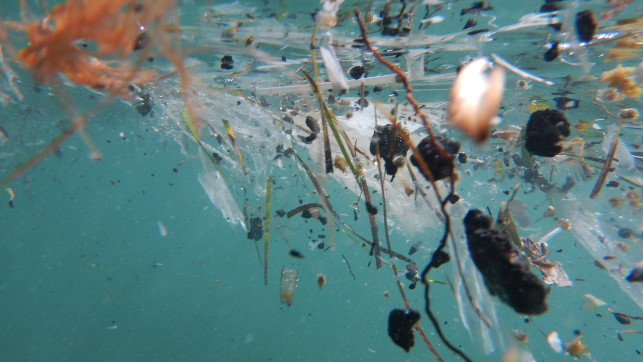 OSPAR tackles marine litter pollution | OSPAR Commission