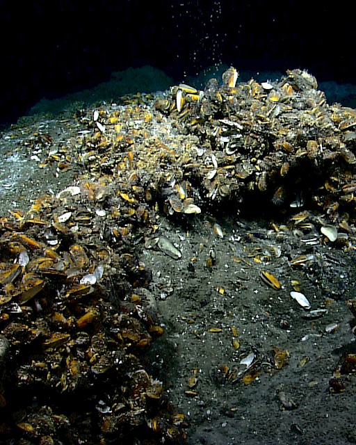 Benthic habitats | OSPAR Commission